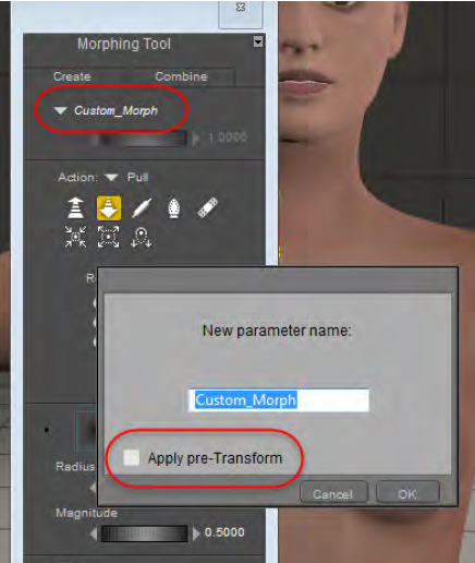The Morph Tool and Pre-Transform Morphs